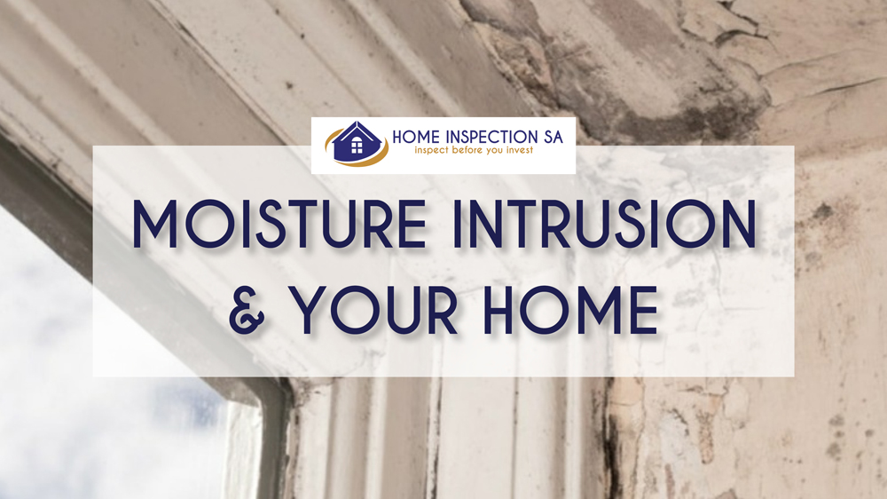Moisture intrusion in your Home | Home Inspection SA